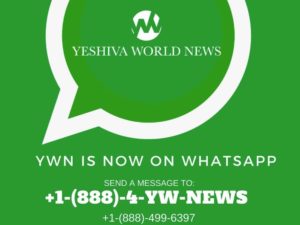 YWN Is Now On WhatsApp – Signup To Be Notified Of Breaking News – The ...