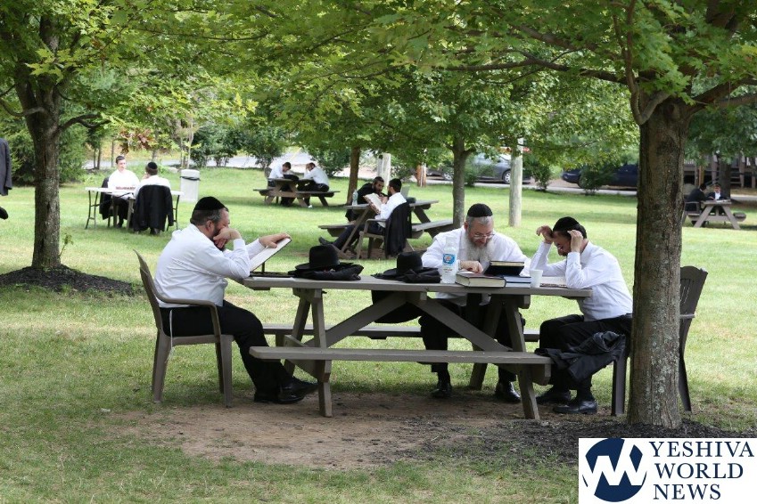 Photo Essay: Learning At Camp Morris (Photos by JDN) - The Yeshiva World